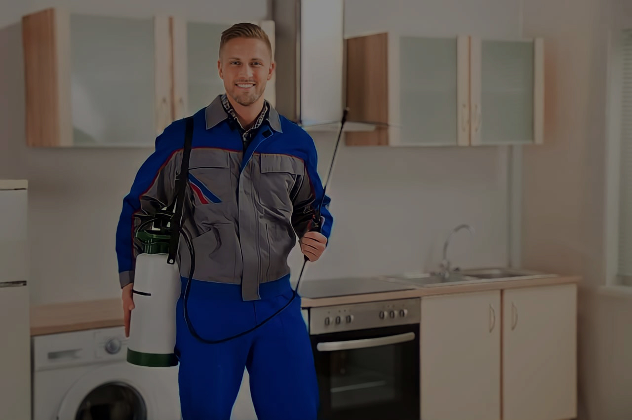 Adelaide Pest Control & Removal - Protec Pest Control